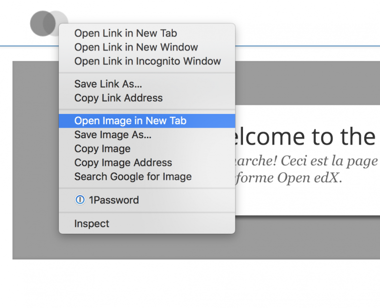 How To Change the Open edX Logo - Blog